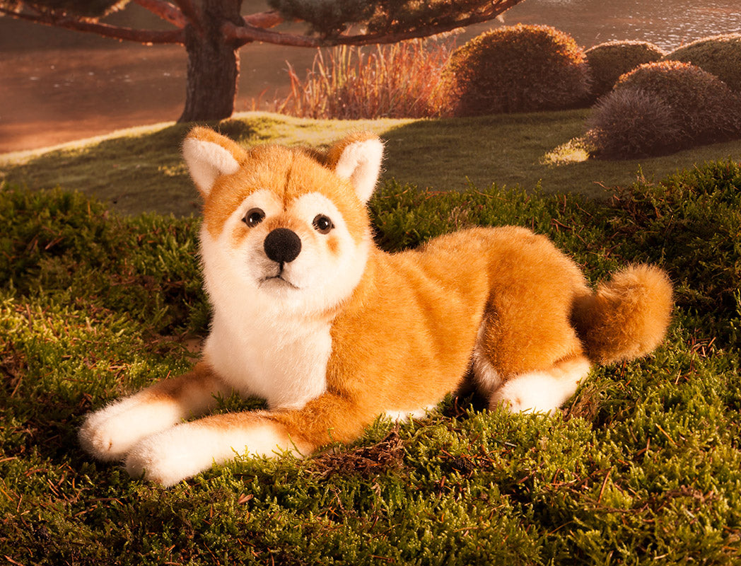 Shiba Inu by Kosen 33cm