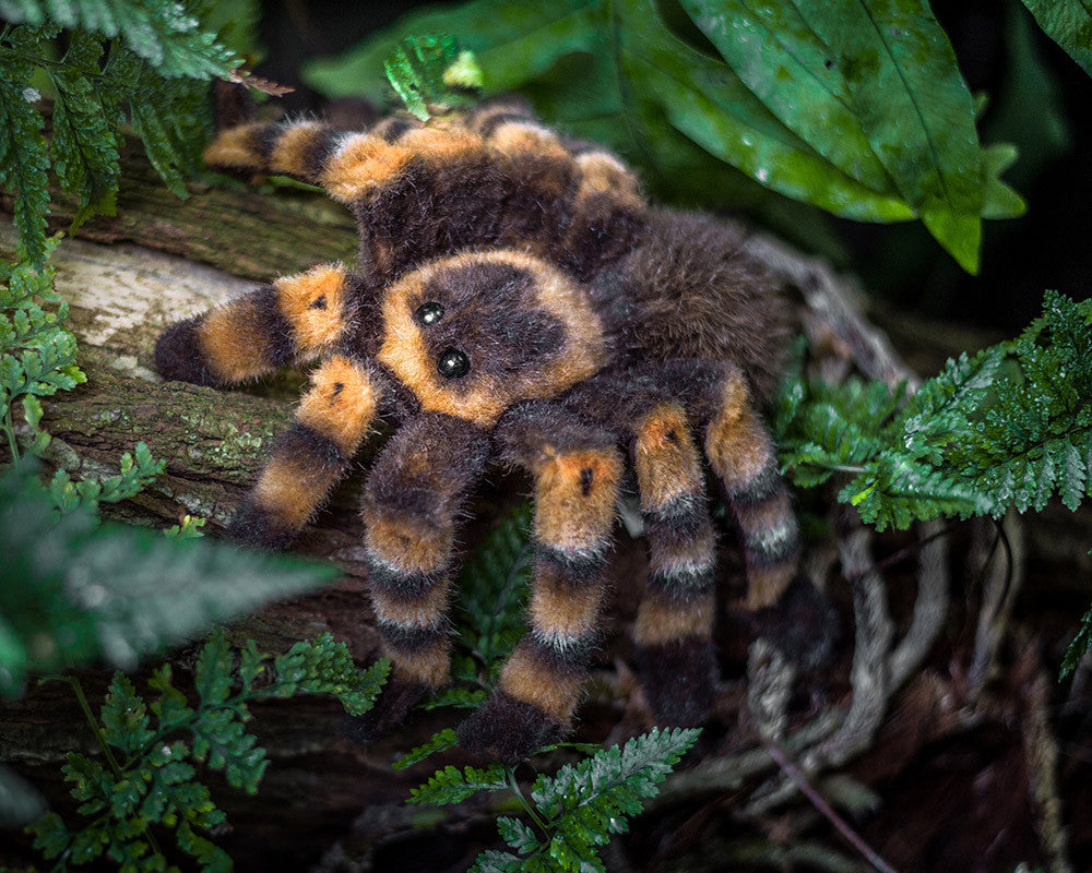 Red-Kneed Tarantula by Kosen - 22cm - Kosen Toys